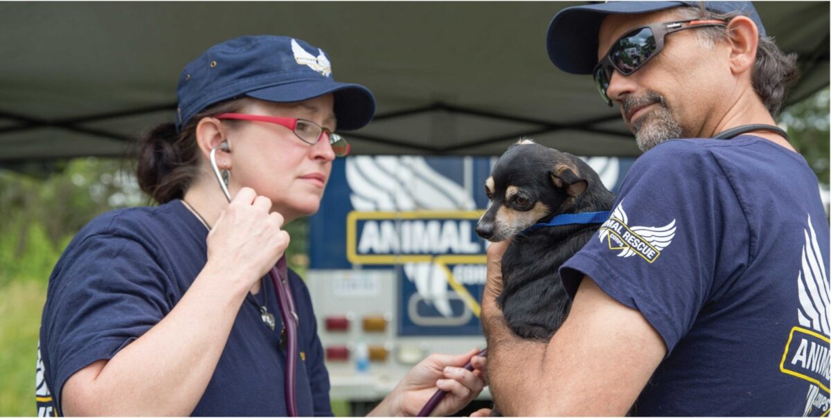 Animal Rescue Corps - Animal Rescue Corps